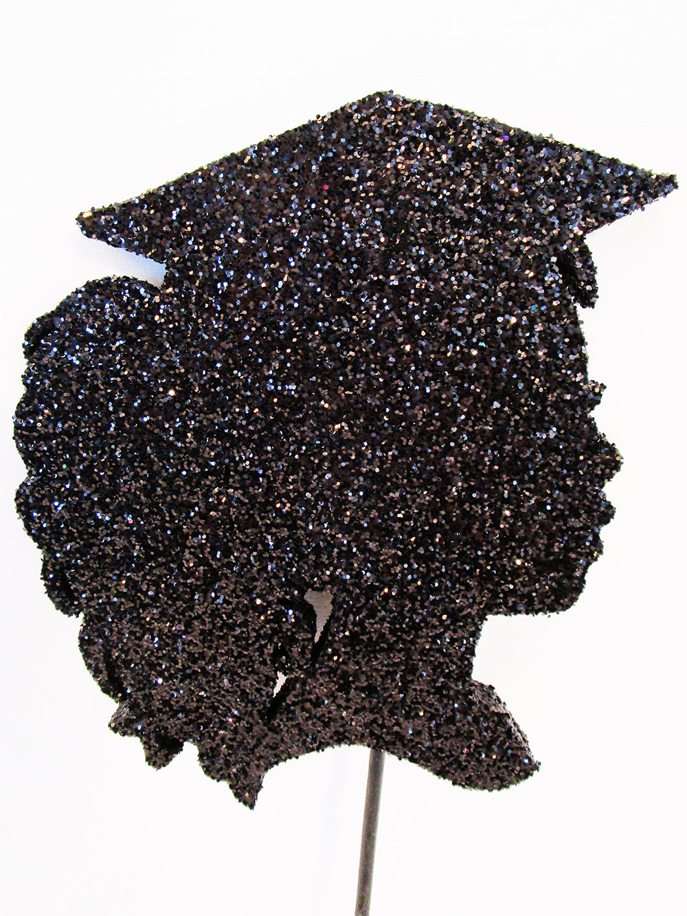 Grad Girl Styrofoam Cutouts – Designs by Ginny